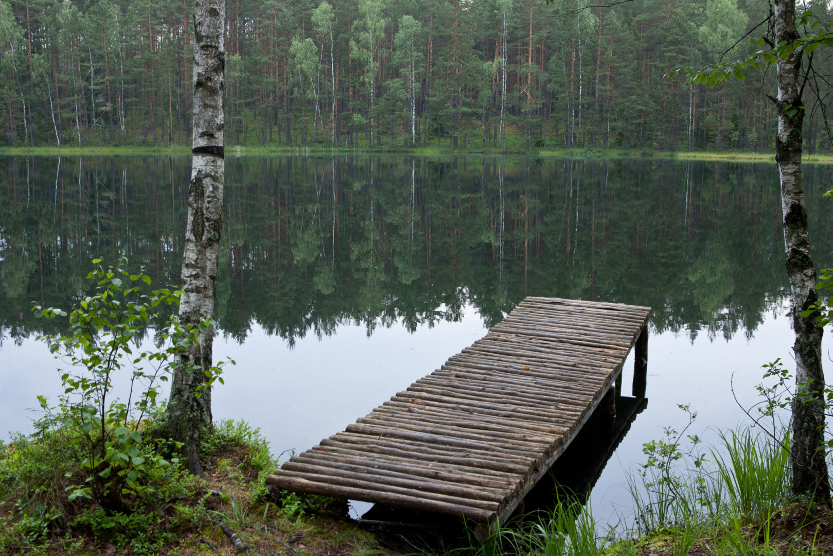 Kada ir kaip tvarkyti vandens telkinių pakrantes? - Lietuvos ...